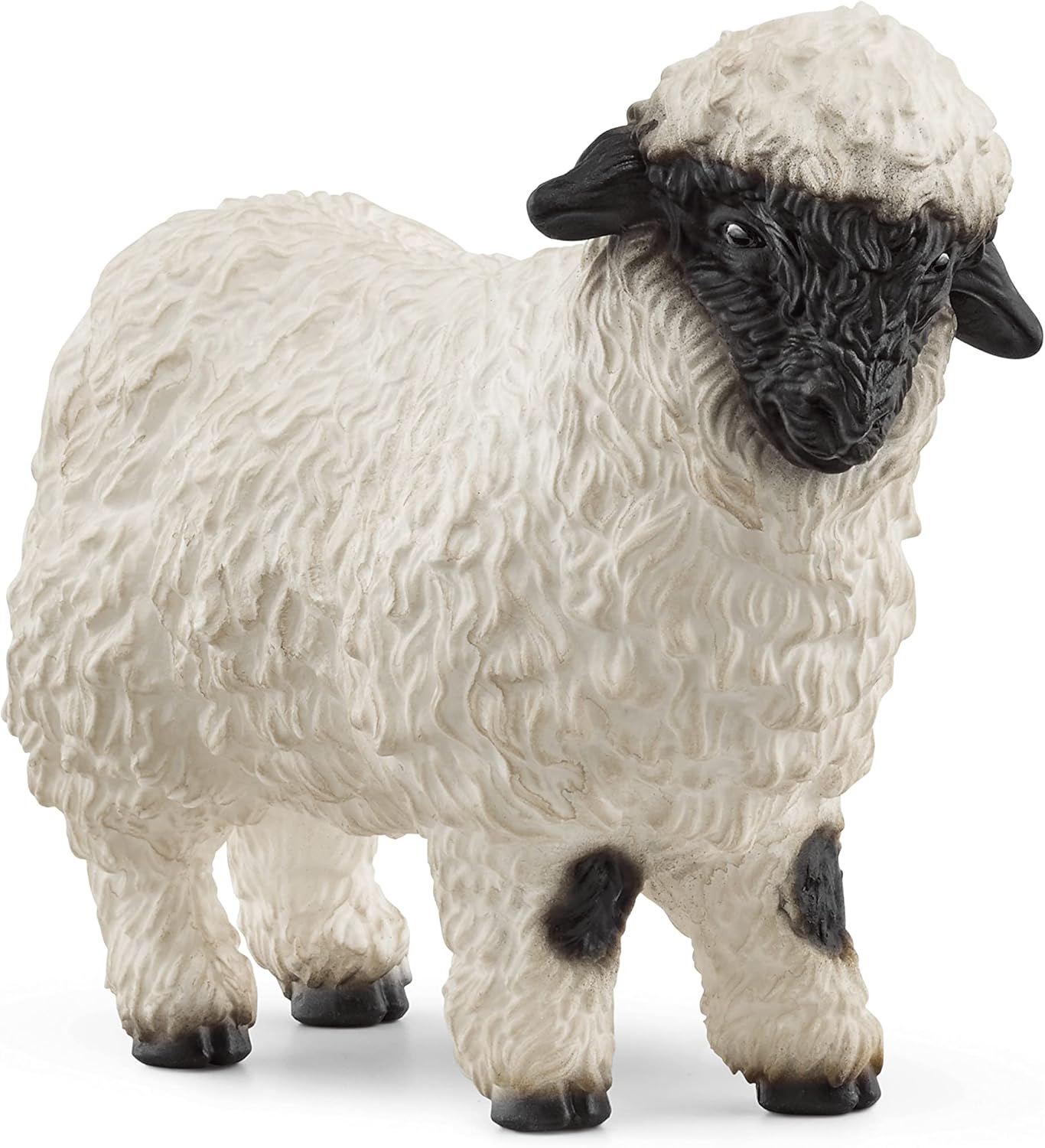 ΠΡΟΒΑΤΟ VALAIS BLACKNOSE | Kalkito
